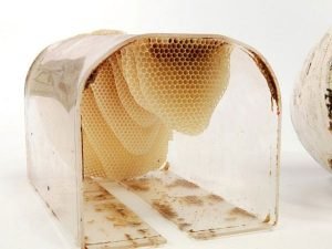 To-Bee a domestic beekeeping device by Bar Lavi at home