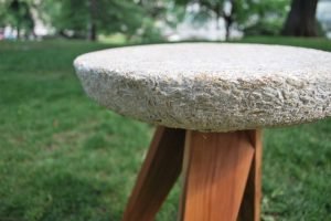 Shiro fungus-based stool is odd but 100-percent biodegradable - Home ...